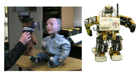 Idoneidad del candidato - Mimo Robots